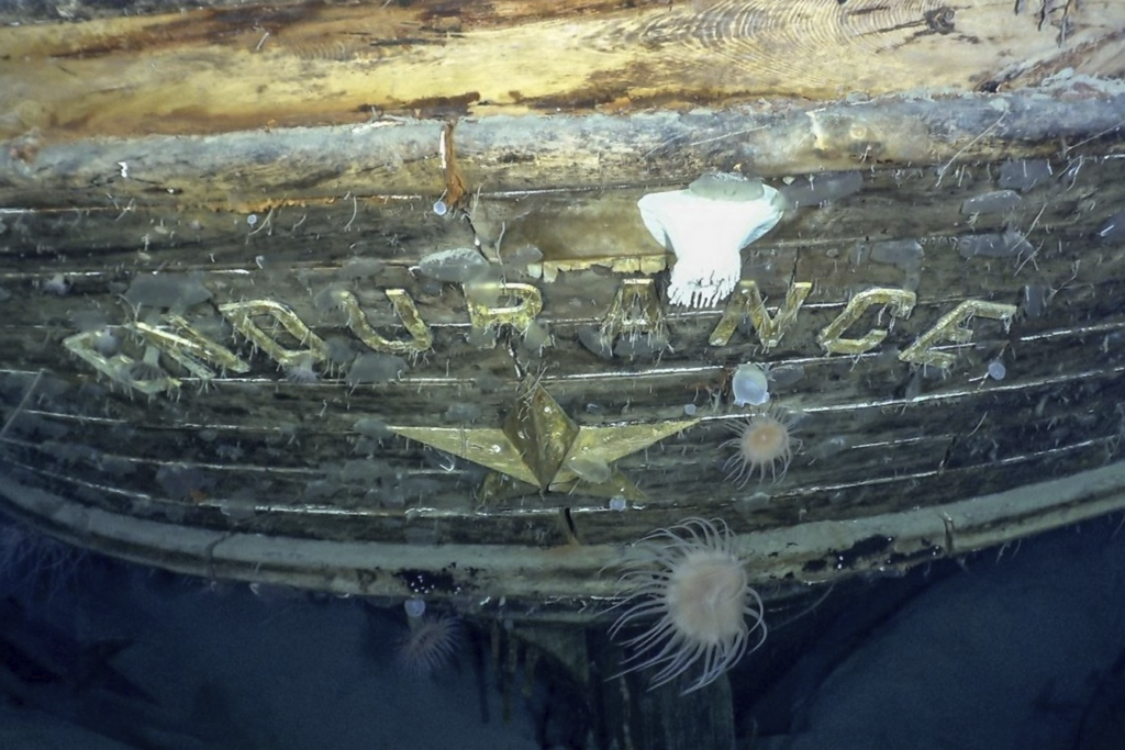 Breaking news: Endurance found! | FRAM