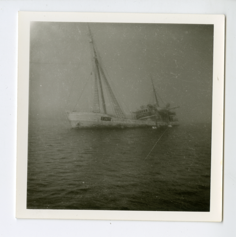 BREAKING: Shackleton’s last ship, the Norwegian sealing vessel Quest ...